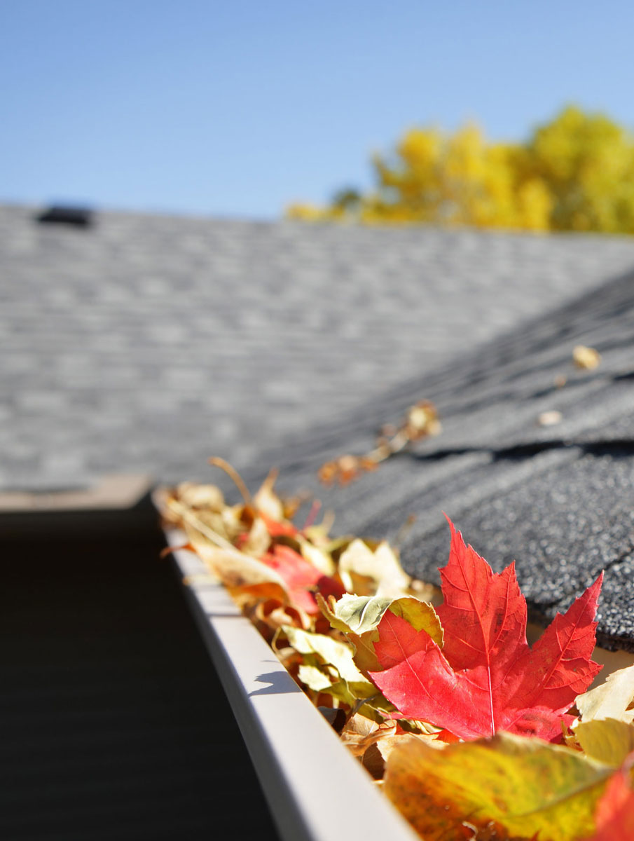 Gallery | Altitude Services Solutions